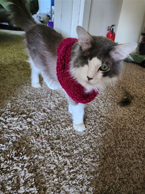 Very Kullah On Tumblr