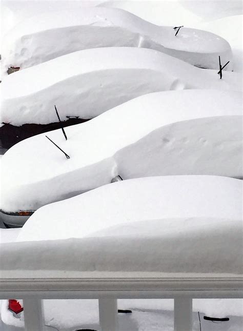 Snow Image Diane Ripstein