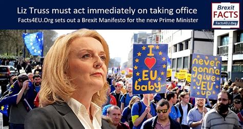 Anyone For Brexit If Liz Truss Is She Must Act Immediately On Taking