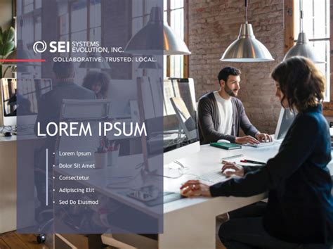 Systems Evolution Inc Cubicle Ninjas