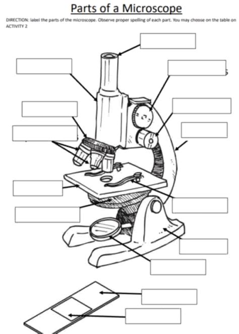 Parts Of A Microscope Direction Label The Studyx
