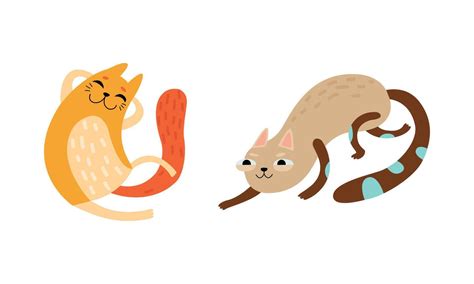 Two Cats Are Playing With Each Other 71308354 Vector Art At Vecteezy