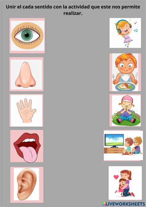 Los Sentidos Online Exercise For Primer Grado Live Worksheets