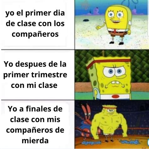 Top Memes De Compañeros En Español Memedroid