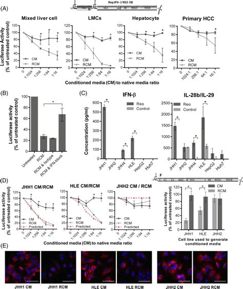 Oncolytic Reovirus As A Combined Antiviral And Anti Tumour Agent For