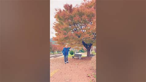 정선군 여량 나의 개구장이 시절 놀던곳~~여량정선구절리 Youtube