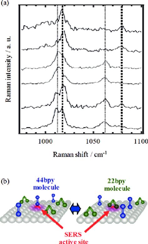 color online sers spectra at the periodic ag dimer array measured in