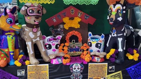 Ofrenda Para Mascotas Qué Día Debes Ponerla Y Qué Cosas No Pueden Faltar Infobae