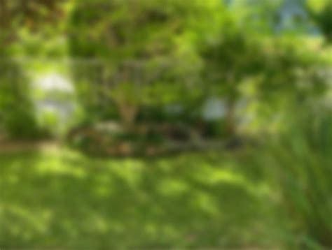 Who Would You Rather Have As Your Mom In Tsitp R Tsitp