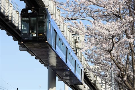 Visit Chiba Endless Adventures Await