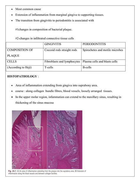 Bone Loss Patterns Pdf