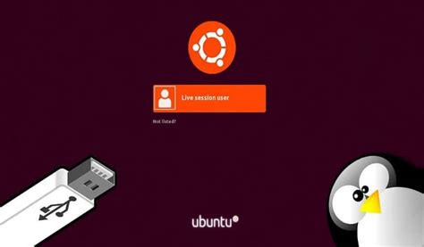 ¿cómo Instalar Programas En Ubuntu Linux Descargados De Internet