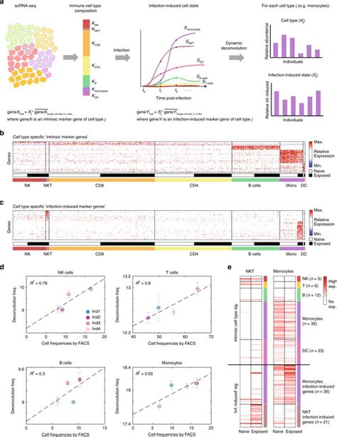 Predicting Bacterial Infection Outcomes Using Single Cell Rna Sequencing Analysis Of Immune