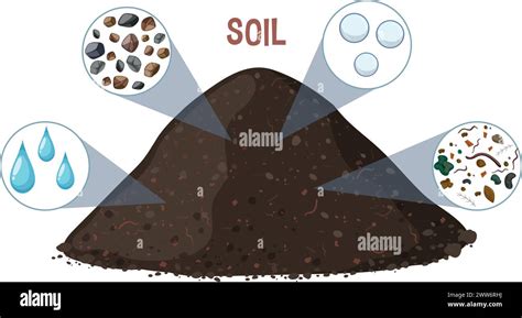 Soil Components Cut Out Stock Images And Pictures Alamy