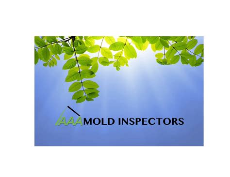 Aaa Mold Inspectors Air Quality Home Inspector Mold Inspections