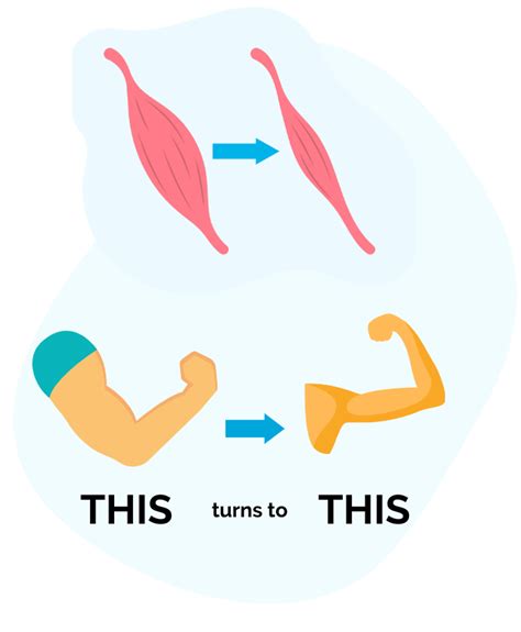 Impact Of Sarcopenia Grandmastrong