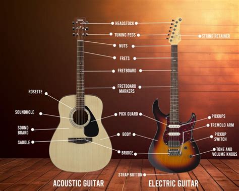 The Guitar Anatomy Learning About The Guitar Parts And Their Functions
