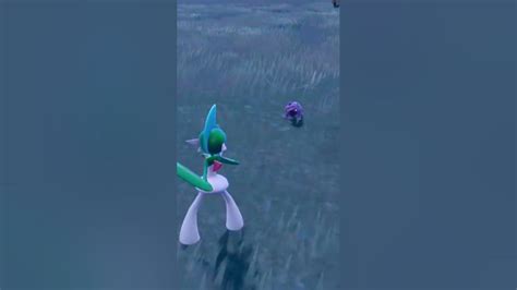 Live Shiny Maschiff Encounter Pokémon Scarlet Violet Shorts Youtube