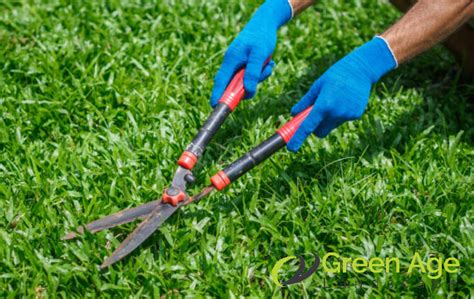 7 Best Practices For Safe And Efficient Diy Grass Cutting In Singapore