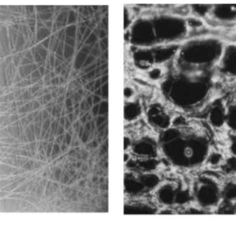 Optical Microscope Photographs Of Pvc Nanofibrous Polymer Mats A