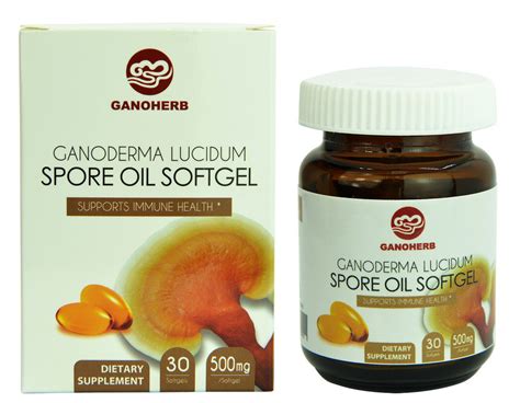 대량 버섯 Ganoderma Lucidum Reishi 포자 기름 의 고품질 대량 버섯 Ganoderma