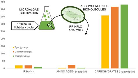 Bioactive Metabolites Of Microalgae From Canary Islands For Functional
