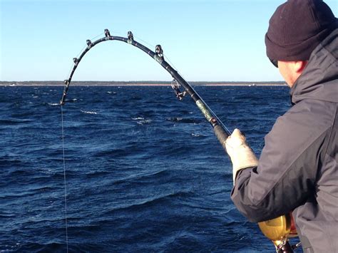 Fishing Gear For Free At Nick Colon Blog