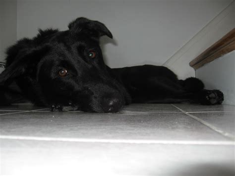 A Peek At The Creative Space Of Anna Staniszewski Jennifer Chambliss