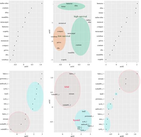 Lrgm Analysis Of The Skeletal Parts Above And Faunal Assemblages