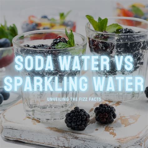 Soda Water Vs Sparkling Water Unveiling The Fizz Facts Drinkmate Sg