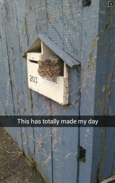 My Best Friend Is A Mail Deliverer Today She Sent Me This Snapchat