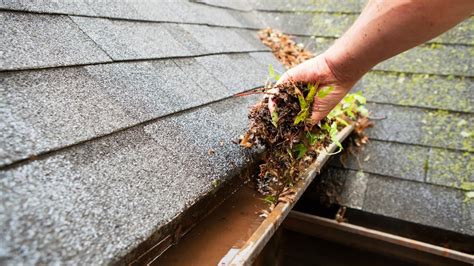 The Consequences Of Not Cleaning Your Gutters