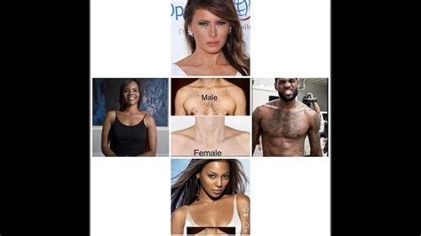 The Transformer Deception Pt 2