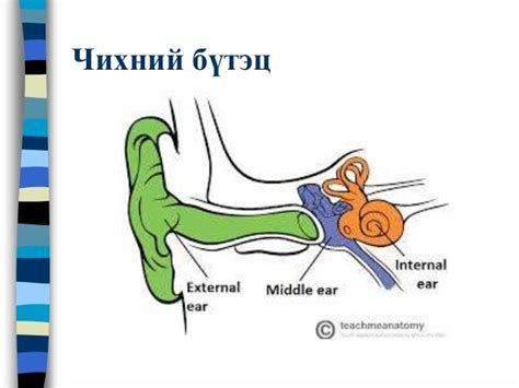 Дунд чихний архаг үрэвсэл