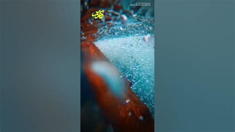 Nature Water River Forest Karzan Afandy My Accounts 660 Youtube