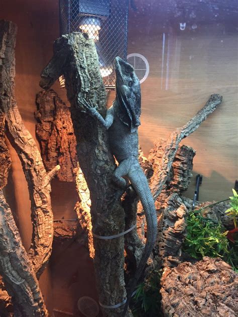 Pictures Of Andy Wareham