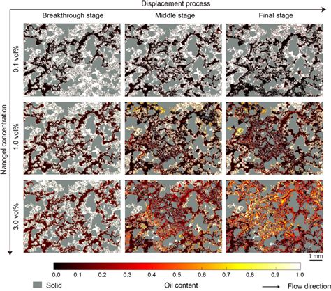 Phase Distribution At Varying Concentrations And Displacement Stages