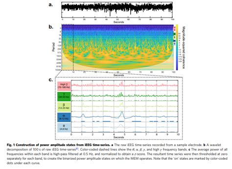 Pairwise Maximum Entropy Model Explains The Role Of White Matter