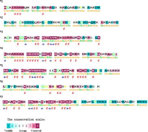 Conservation Pattern Of The Seven Quasi Repeat Results From Consurf