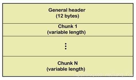 linux socket c语言网络编程：sctp socket linux sctp编程 csdn博客
