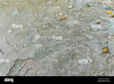 Pieces Of Broken Glass Lie On The Concrete Surface A Large Number Of