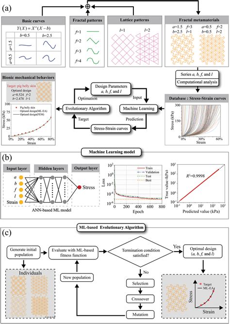Inverse Optimization Of The Bionic Stressstrain Curves A Four