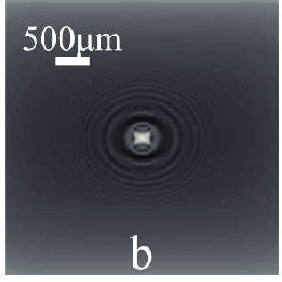 Hologram Of A Particle With Elliptical Gaussian Beam Illumination And