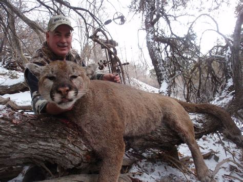 2017 Utah Statewide Cougar Conservation Permit