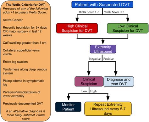 Dvt Prophylaxis In Spine Surgery Targeted Strategies And Outcomes