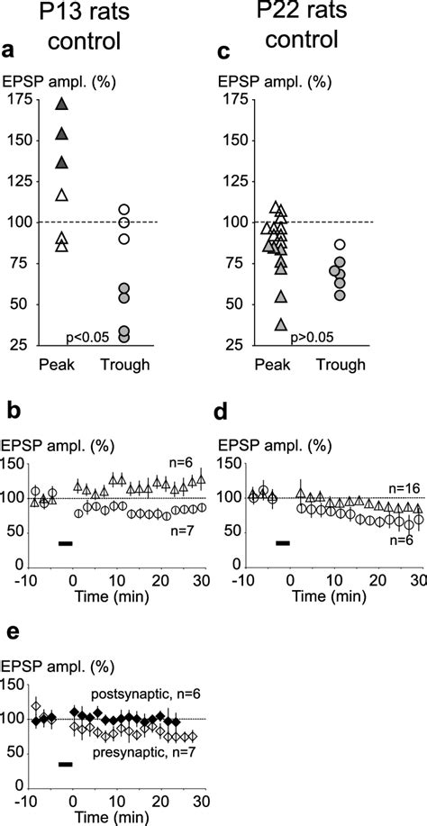 Phase Sensitivity Of Synaptic Modifications During Sustained