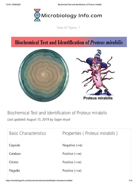 Biochemical Test And Identification Of Proteus Mirabilis Pdf