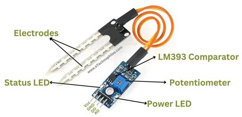 Soil Moisture Sensor With Arduino Smart Plant Watering Project