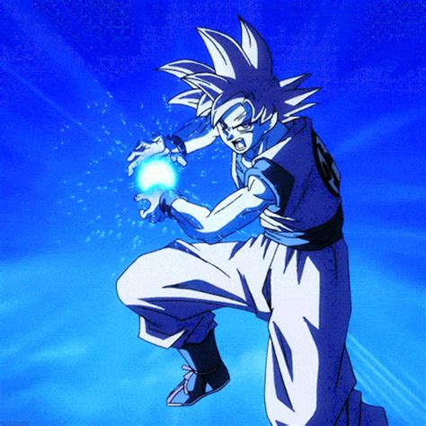 S De Goku Kamehameha X10