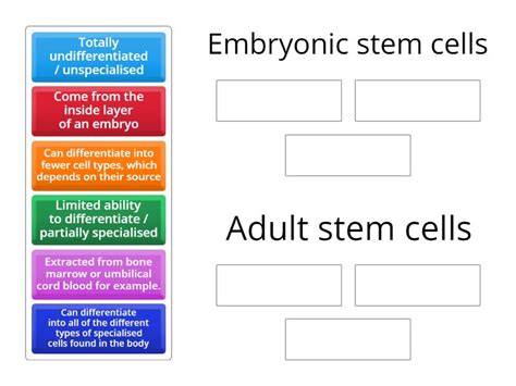 Stem Cells Group Sort